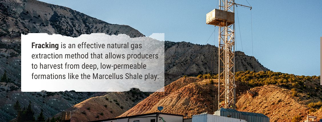 Marcellus & Utica Shale: Formation History & Importance